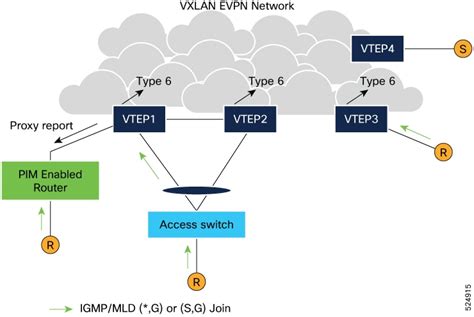 Cisco Nexus 9000 Series Nx Os Vxlan Configuration Guide Release 10 5 X Optimized Layer 2
