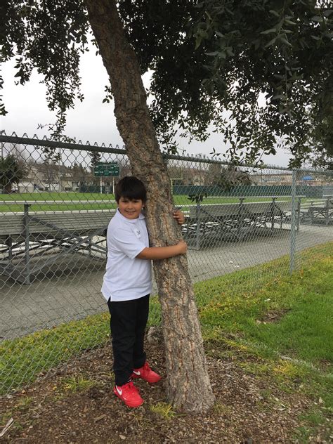 CANOPY PHOTOS Flickr