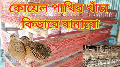 কাঠ এবং প্লাস্টিকের জালি দিয়ে কোয়েল পাখির খাঁচা তৈরী করলাম। Youtube