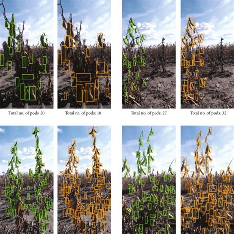 Plot Samples With Their Respective Annotated Left And Detected
