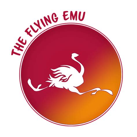 Pid Tuning Basics For Fpv Pilots The Flying Emu
