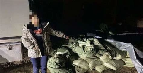大庆市公安局肇州县局成功抓获三名涉油犯罪嫌疑人腾讯新闻