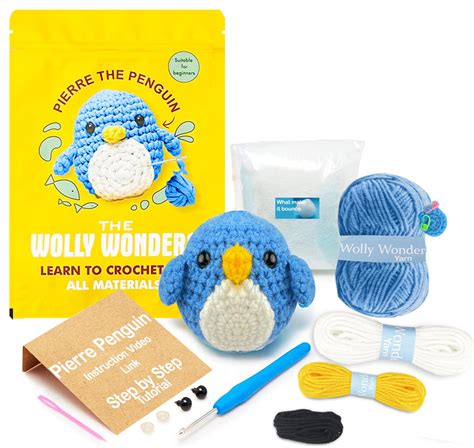 Wolly Wonders Beginners Diy Crochet Amigurmi Kit With Yarn And Needle
