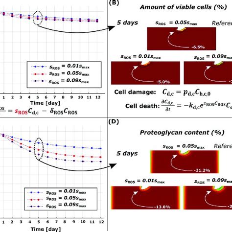 Sensitivity Analysis Of Simulated Reactive Oxygen Species Ros