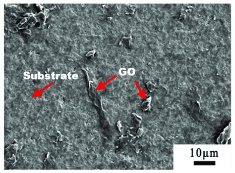Sem Surface Morphology Of The Substrate With Go Particles Download