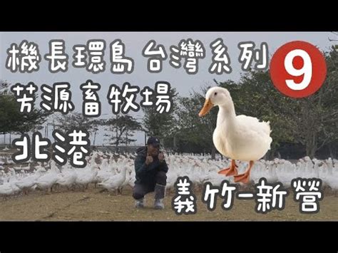 機長環島台灣系列第9集 不可思議的養鵝場 改鴨及番鴨 下雨天中的徒步 台灣 geese 徒步環島 pilot YouTube