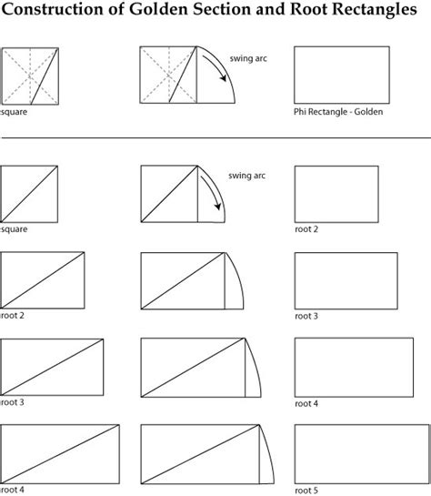 Root Rectangle Handout