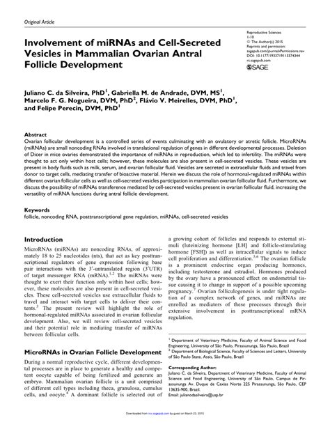 Pdf Involvement Of Mirnas And Cell Secreted Vesicles In Mammalian