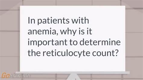 What Is The Importance Of Reticulocyte Count In Anemia Workup Youtube