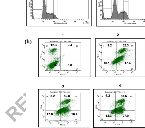 A Determination Of Sub G Peak Of HT Through Cell Cycle Analysis Download High Quality