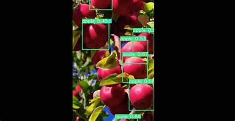 Nandini Myakala On Linkedin Artificialintelligence Machinelearning Deeplearning Computervision