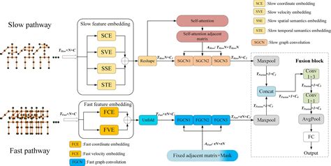 Spatial‐temporal Slowfast Graph Convolutional Network For Skeleton