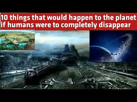 What Happen To The Planet If Humans Were To Completely Disappear