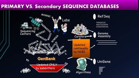 Major Databases In Bioinformatics Pptx Databases Computer