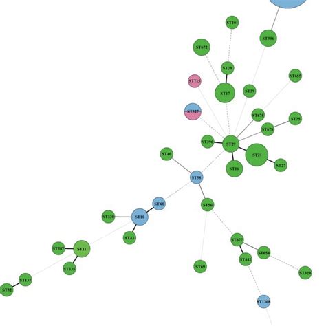 Minimum Spanning Tree Based On The Multilocus Sequence Typing Allelic
