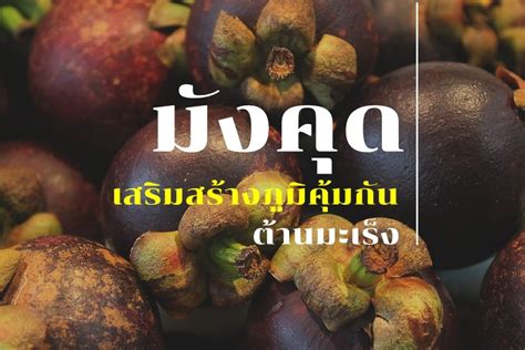 เคอร์คิวมินและเซซามินเข้มข้น ต้านอักเสบยับยั้งเซลล์ร้าย Facebook