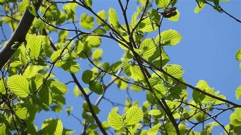 Spring BootのWEB画面上でデータ検索機能を追加してみた 完成イメージと前提条件 ITエンジニアとして経験学習したこと