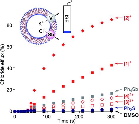 The Valinomycin Coupled Chloride Efflux From Popc Vesicles Triggered By