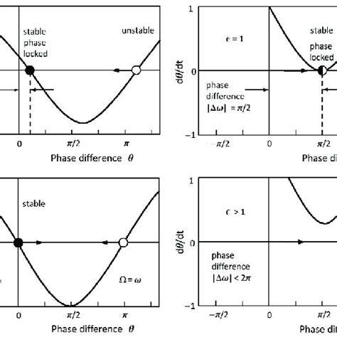 phase response curve dq dt vs q for a nonuniform oscillator