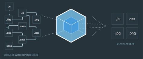webpack poiemaweb