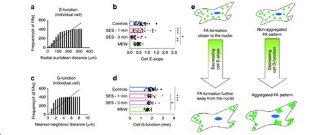 Distribution Analysis Results A Cumulative Frequency Distribution