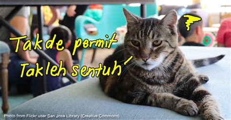 Animal Welfare Act Malaysia Tara Gonzalez