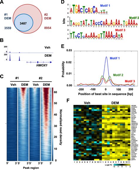 Genome Wide Analysis Of Nrf2 Binding Sites In Lcls A Venn Diagram
