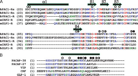 Sequence Alignment Of The N Terminal Ec Domain Of Several Related Class Download Scientific