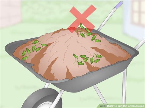 How To Get Rid Of Bindweed 9 Steps With Pictures Wikihow