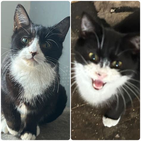 Molly Megan Zoe S Ark