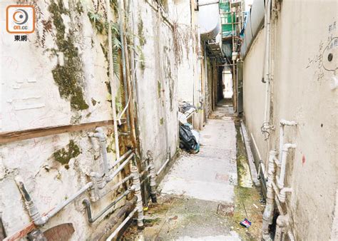 熱能探測錄像捉鼠 專家批治標不治本 東方日報