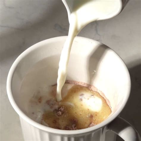 Hot Chocolate Mug Cake Recipe With Hot Cocoa Mix Chenée Today