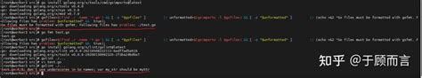 《速通golang》5 打造go开发流水线cicd 知乎