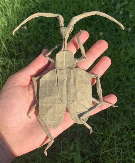 Violin Beetle Mormolyce Phyllodes V15 Designed By Kota Imai Folded