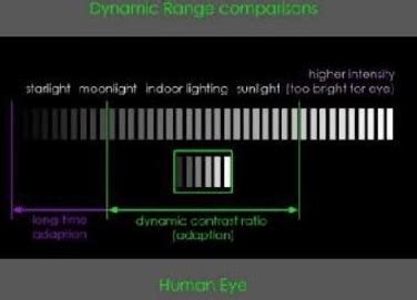 Human Eye Luminance Range Download Scientific Diagram