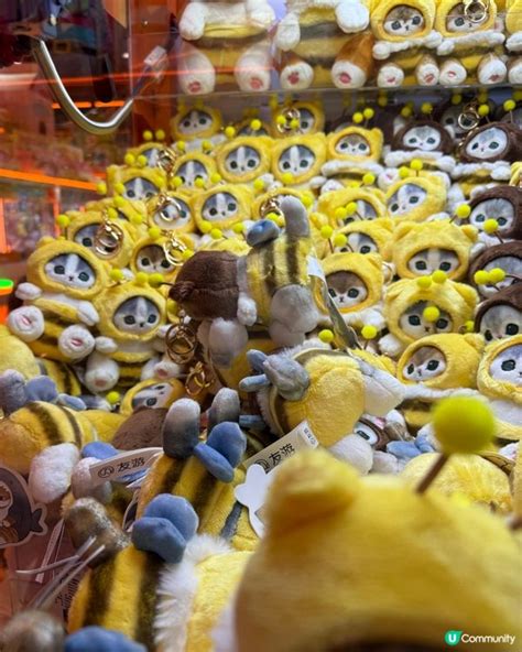 深圳夾公仔之志在必得 U Community 社群平台