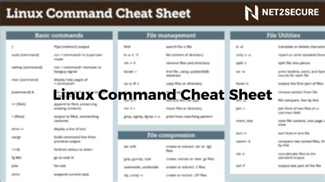 20 Essential Linux Commands For Beginners