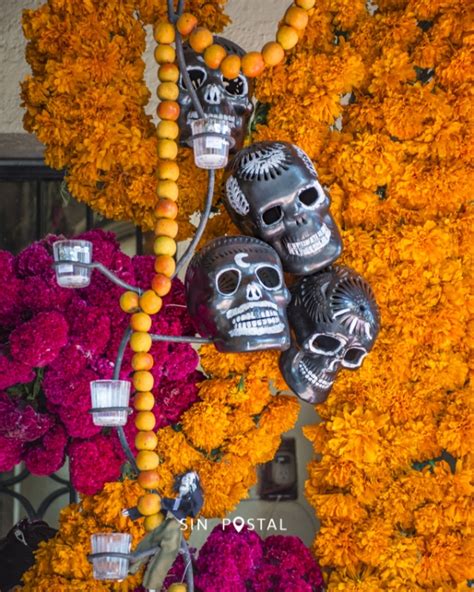 Día De Muertos En Oaxaca Sin Postal