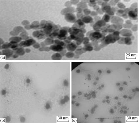 TEM Micrographs Of A Fe 2 O 3 And PANI Fe 2 O 3 Composites Containing