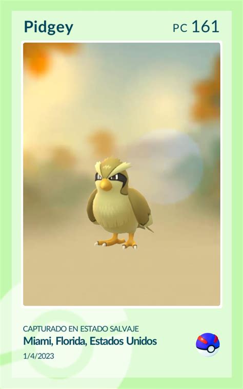 [pogo] Just Caught This Shiny Pidgey R Shinypokemon