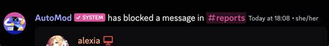 [bug] Pronoundb Assigns Pronouns To Automod · Issue 1136 · Vendicated
