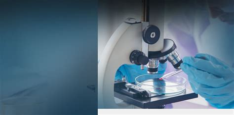 Leiomyosarcoma Lms Cancer Symptoms And Prognosis