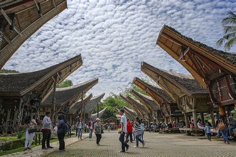 Mengenal Rumah Adat Toraja Dari Jenis Dan Keunikannya