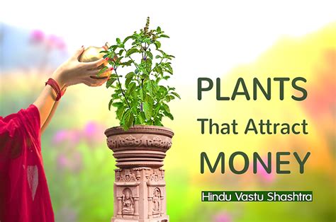 11 Hindu Vastu Plants That Attract Wealth Hubpages