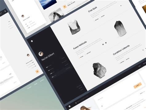 Avia Ui Kit Profiles Ui Kits I 2024
