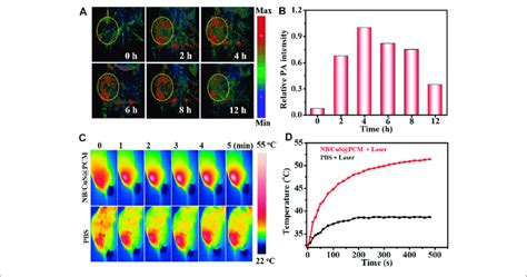 Ac Nir Ii Photoacoustic Imaging Photo And Thermal Imaging Photo Of Download Scientific
