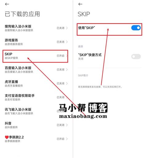 SKIP 李跳跳替代App免费开源的开屏广告跳过工具 马小帮
