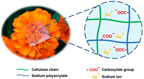 Cellulosesodium Polyacrylate Interpenetrating Network Hydrogel With Intrinsic Anti Freezing