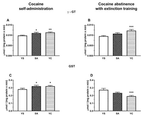 Antioxidants Special Issue Thiol Based Redox Regulation Of Cellular