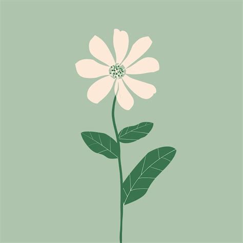 Premium Vector Flora Background